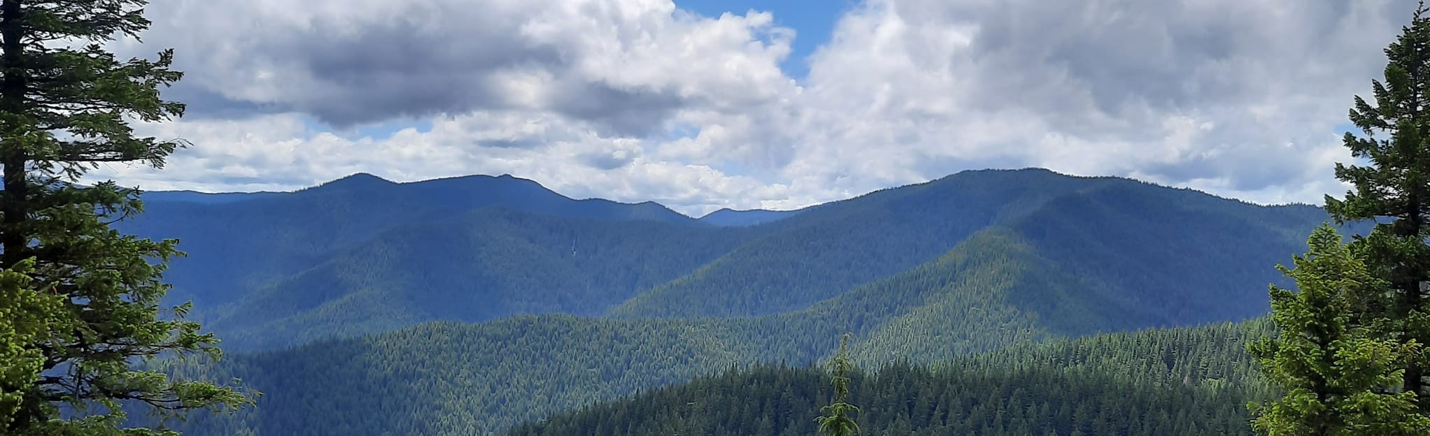 Bonanza Trail: 93 Reviews, Map - Oregon | AllTrails