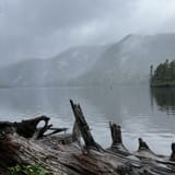 Perseverance Lake Trail, Alaska - 200 Reviews, Map | AllTrails