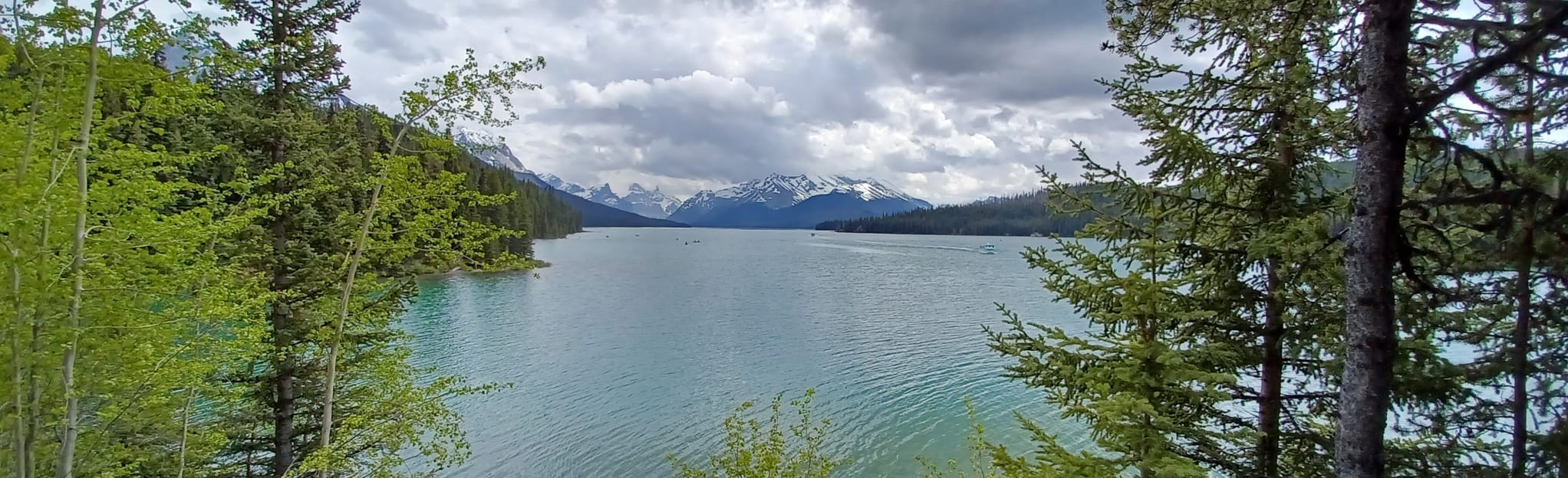 Mary Schaeffer Loop: 260 Reviews, Map - Alberta, Canada | AllTrails