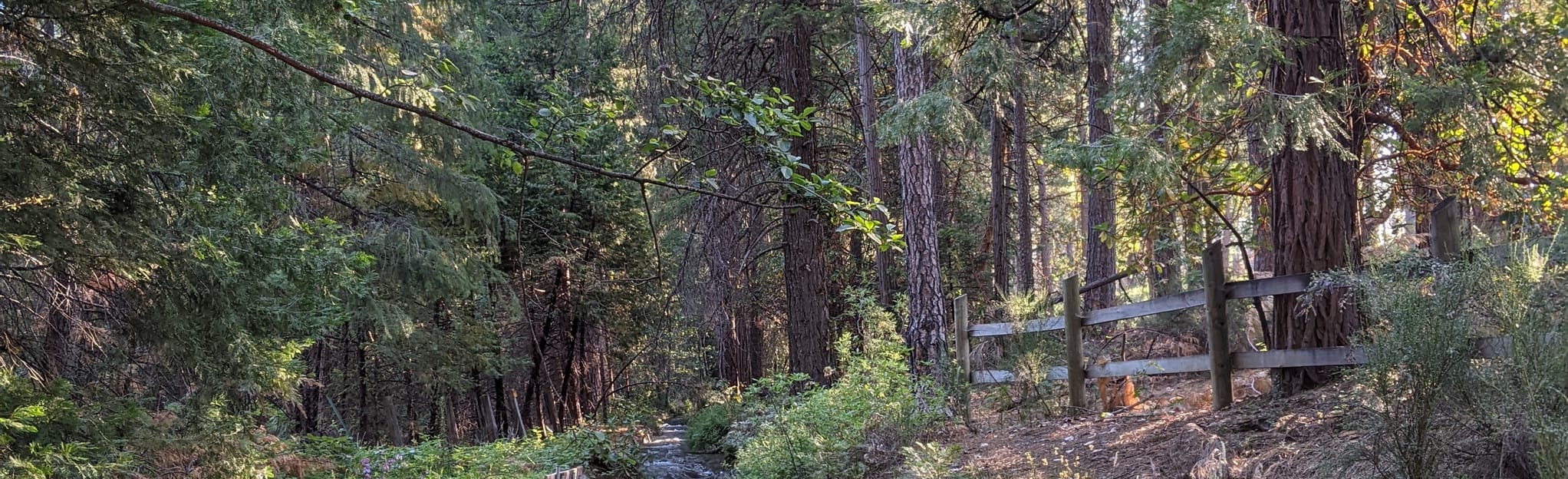 Little Silver Loop, California - 52 Reviews, Map | AllTrails