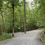 Webb Bridge Park Trail, Georgia - 699 Reviews, Map | AllTrails