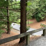 Webb Bridge Park Trail, Georgia - 699 Reviews, Map | AllTrails