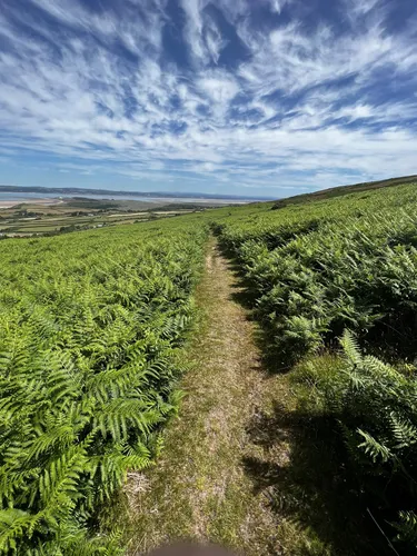 10 Best Hikes and Trails in Gower National Landscape (AONB) | AllTrails