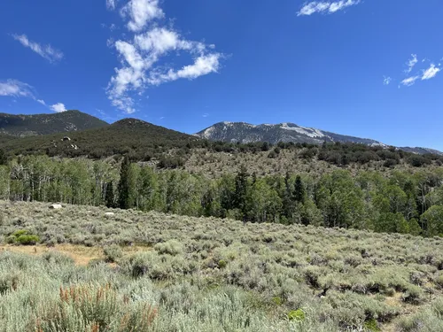 10 Best Hard Trails in Great Basin National Park | AllTrails
