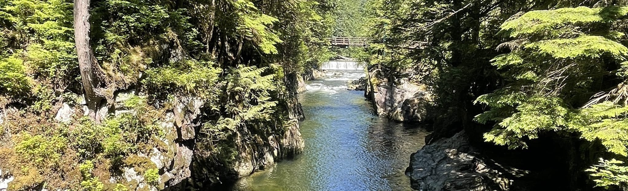 Capilano Canyon Loop via Rabbit Lane Trail: 573 Reviews, Map - British ...