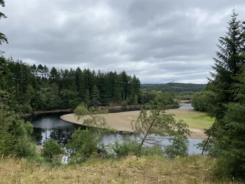 10 Best Hikes and Trails in Kielder Forest | AllTrails