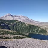 Windy Ridge Trail, Washington - 120 Reviews, Map | AllTrails