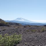 Windy Ridge Trail, Washington - 120 Reviews, Map | AllTrails