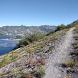 Windy Ridge Trail, Washington - 120 Reviews, Map | AllTrails