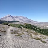Windy Ridge Trail, Washington - 120 Reviews, Map | AllTrails
