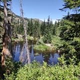 Meta Lake Trail, Washington - 32 Reviews, Map | AllTrails