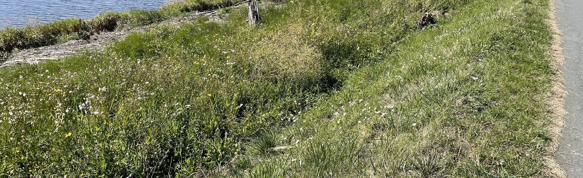 Rhuddlan Kinmel Bay River Clwyd Circular, Denbighshire, Wales - 51 ...