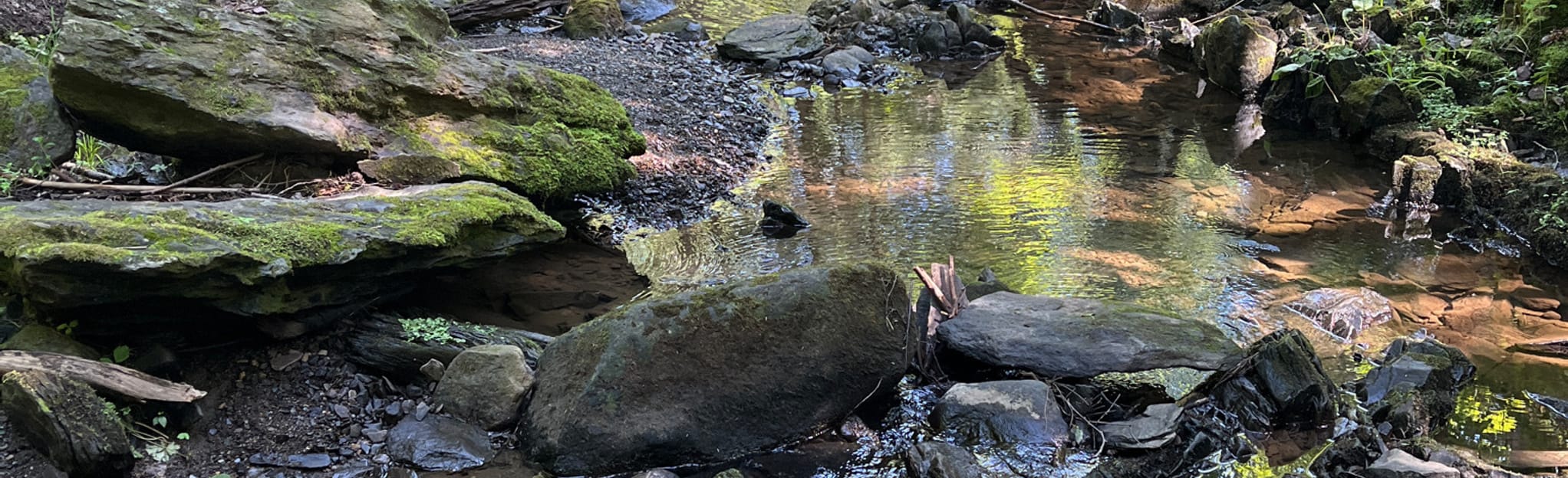 Beckett South Loop, Quebec, Canada - 14 Reviews, Map | AllTrails