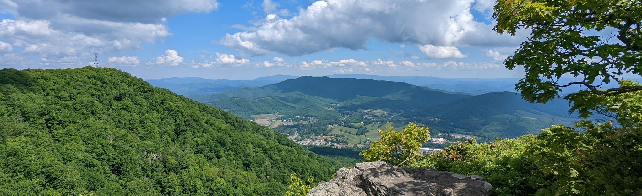 Mount Jefferson, Rhododendron and Lost Province Trail - North Carolina ...