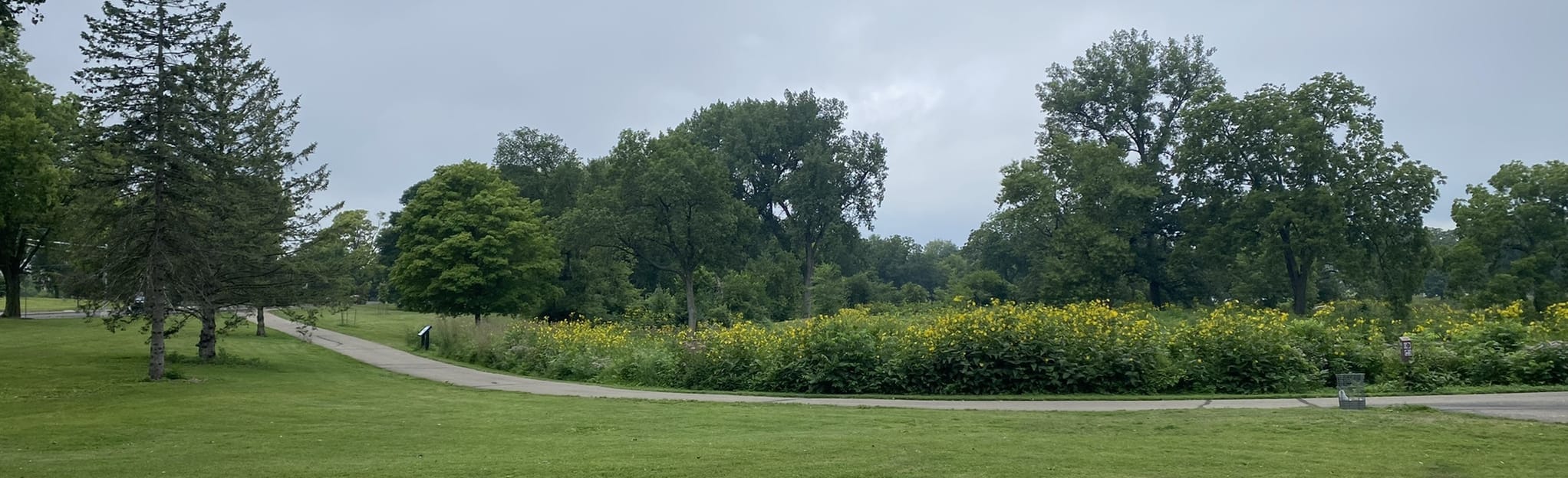 Silver Lake Loop: 121 Reviews, Map - Minnesota | AllTrails