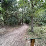 Green Ridge Trail, Texas - 928 Reviews, Map | AllTrails