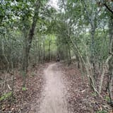 Green Ridge Trail, Texas - 928 Reviews, Map | AllTrails