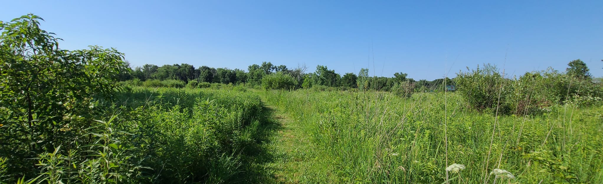 Greiner Nature Preserve Loop: 35 Reviews, Map - Indiana | AllTrails