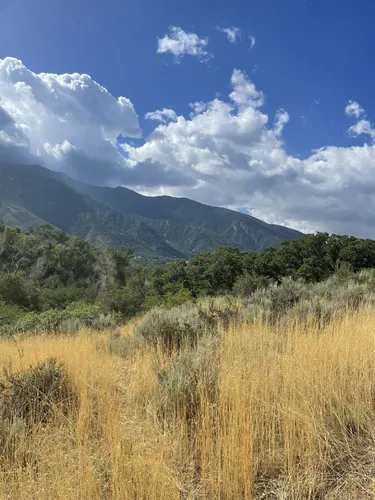 10 Best Hikes and Trails in Dimple Dell Regional Park | AllTrails