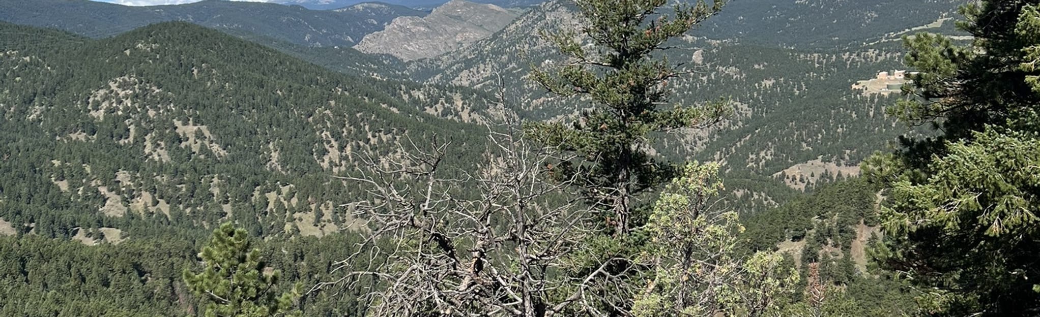 Ute and Range View Trail Loop: 753 Reviews, Map - Colorado | AllTrails