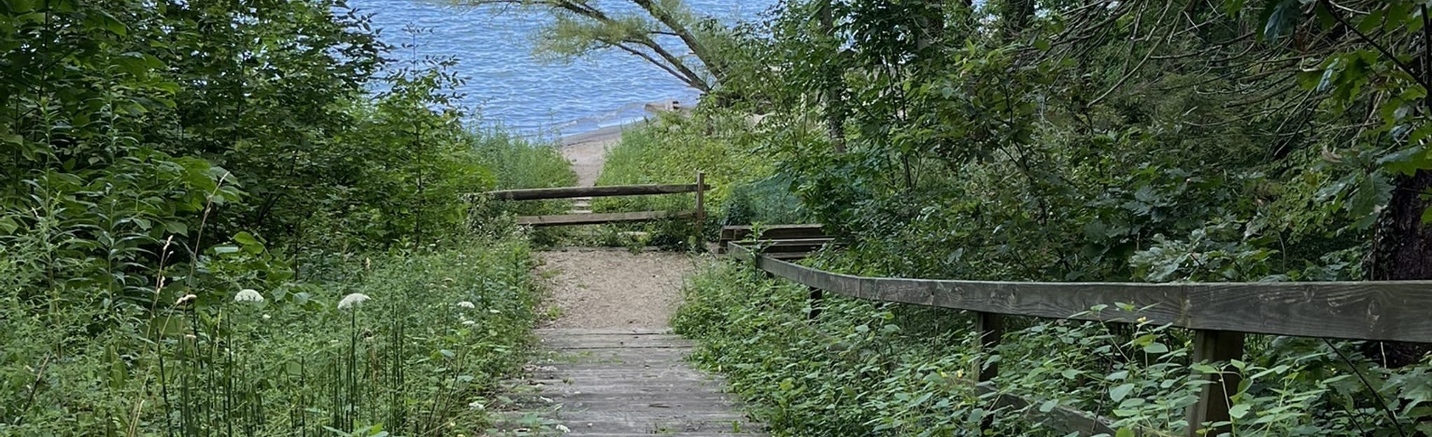 Lakeshore Reservation Loop - Ohio | AllTrails