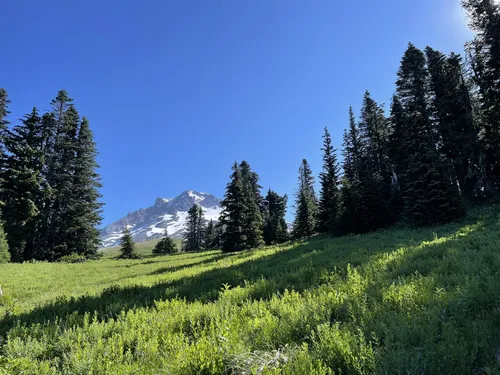 10 Best Hikes and Trails in Mount Hood National Forest | AllTrails