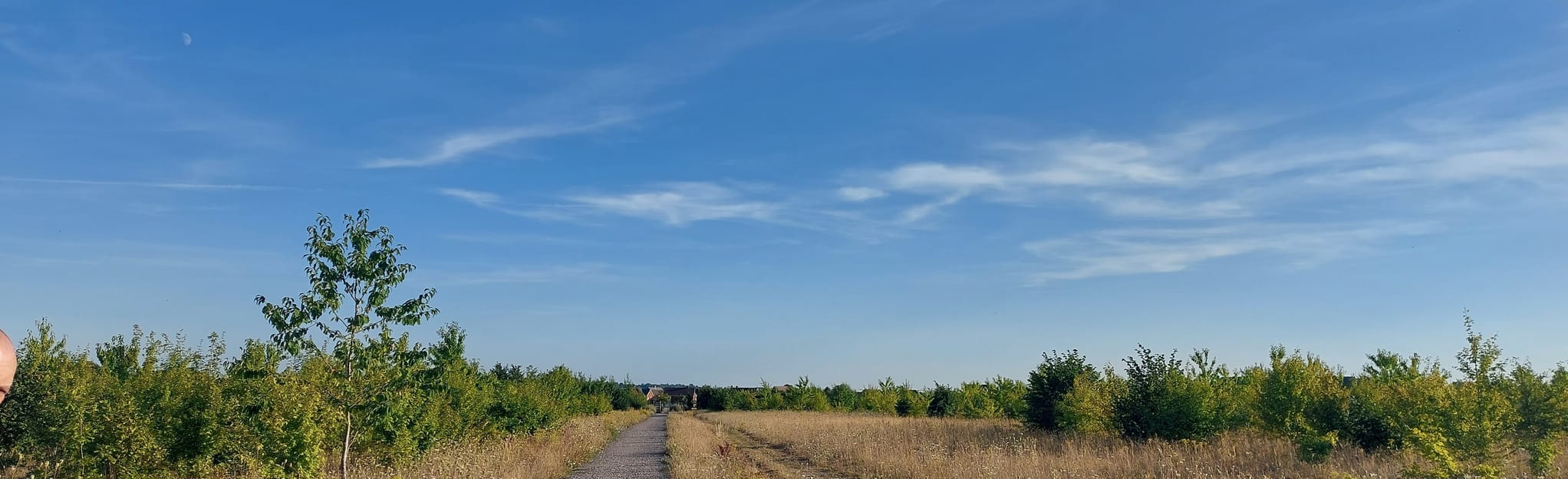 Diamond Wood and Enham Park, Hampshire, England - 8 Reviews, Map ...