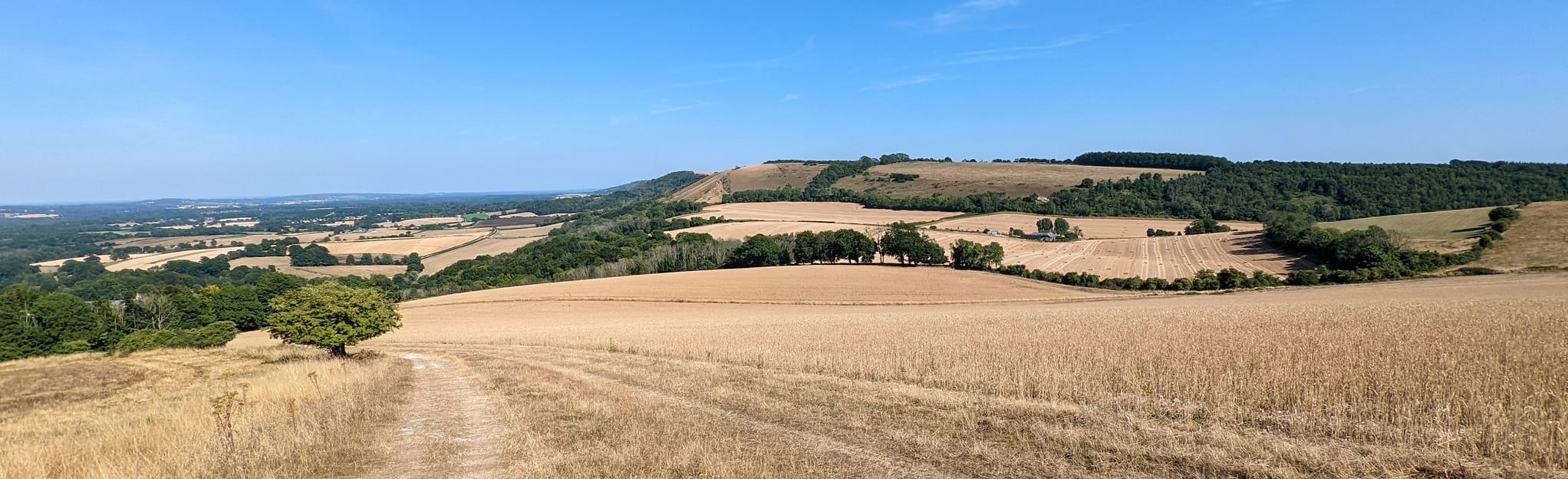 Elsted, Beacon Hill and Harting Down Circular, West Sussex, England ...