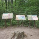 Lost '40' Trail, Minnesota - 162 Reviews, Map | AllTrails