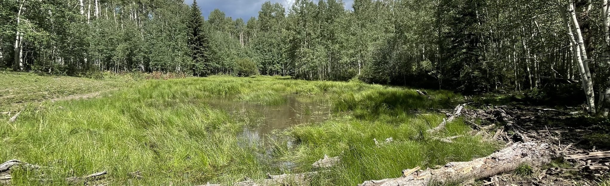 Babbish Gulch, Colorado - 281 Reviews, Map | AllTrails