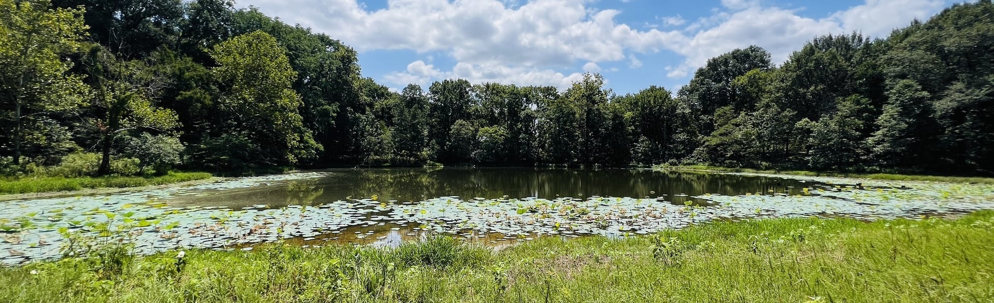 Cherokee Nation Park Horseback Trail, Oklahoma - 25 Reviews, Map ...