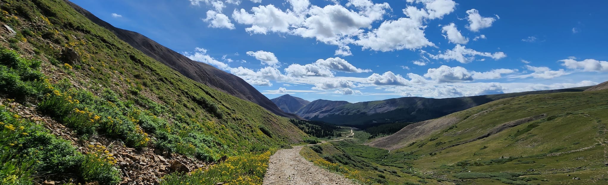 The Hilltop Mine Trail: 141 Reviews, Map - Colorado | AllTrails