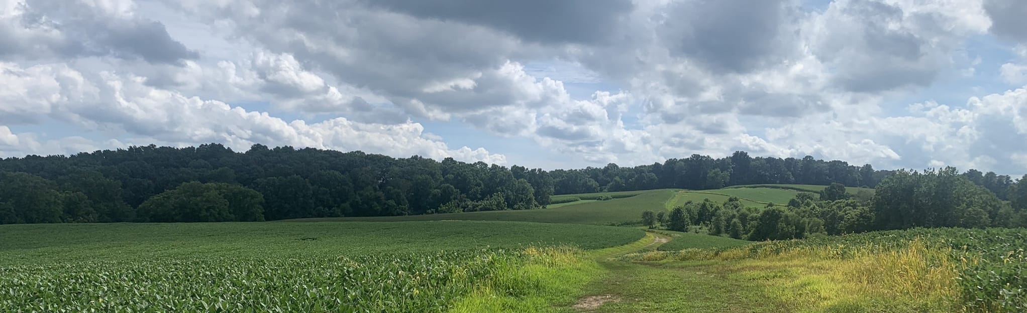 Peter Hausmann Trail at ChesLen Preserve: 318 Reviews, Map ...
