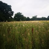 Dial Post - Shipley Circular, West Sussex, England - 187 Reviews, Map ...