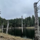Kent Lake via Candalero Canyon Loop, California - 409 Reviews, Map ...