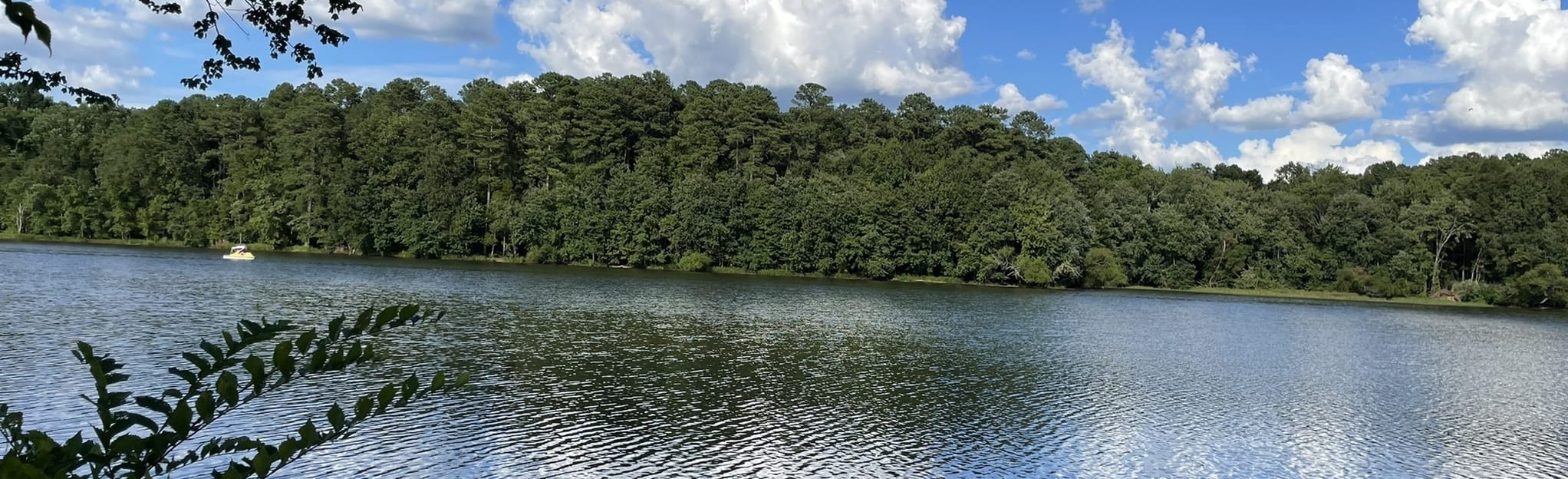 Bond Park Lake Trail: 992 Reviews, Map - North Carolina | AllTrails