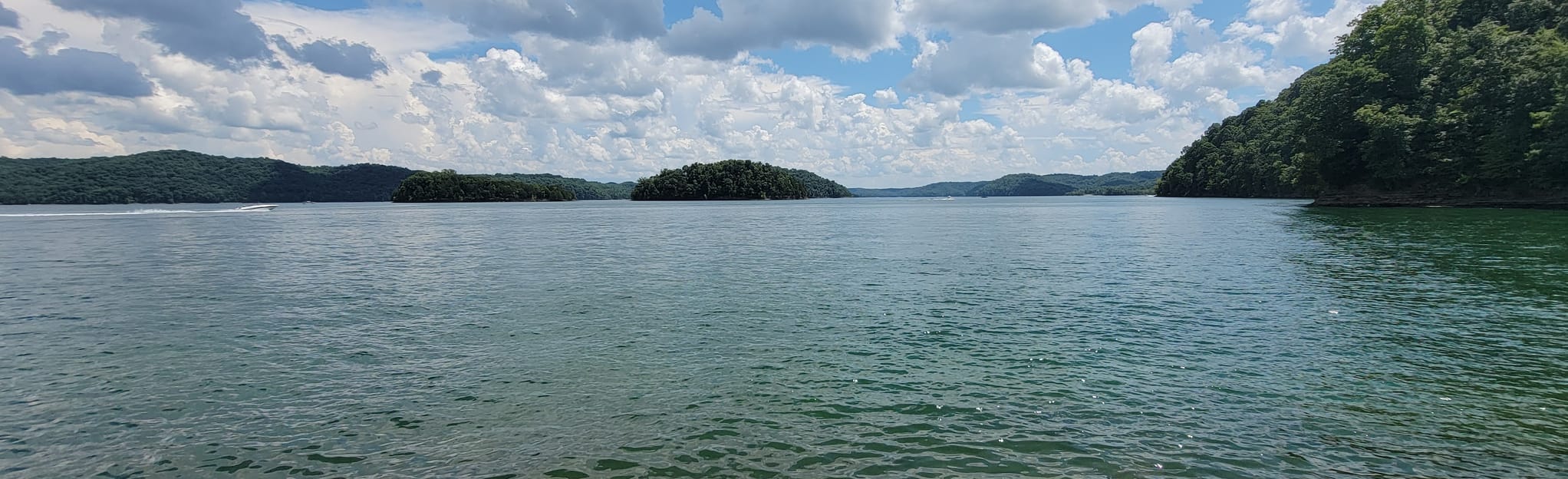 Groce Ridge via Boom Ridge Trail: 35 Reviews, Map - Kentucky | AllTrails