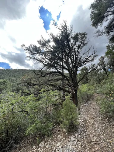 Best 10 Hiking Trails in Spring Mountains National Recreation Area ...