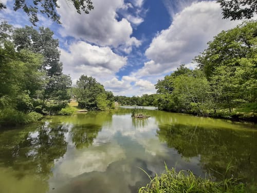 Best Hikes and Trails in Silas Condict Park | AllTrails