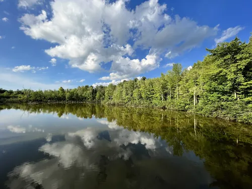 Best Hikes and Trails in Calvin Ecosystem Preserve | AllTrails