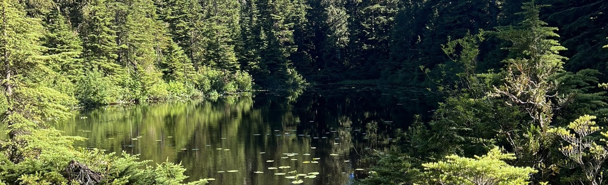 Blue Gentian Lake Loop via Millstream Park: 156 Reviews, Map - British ...