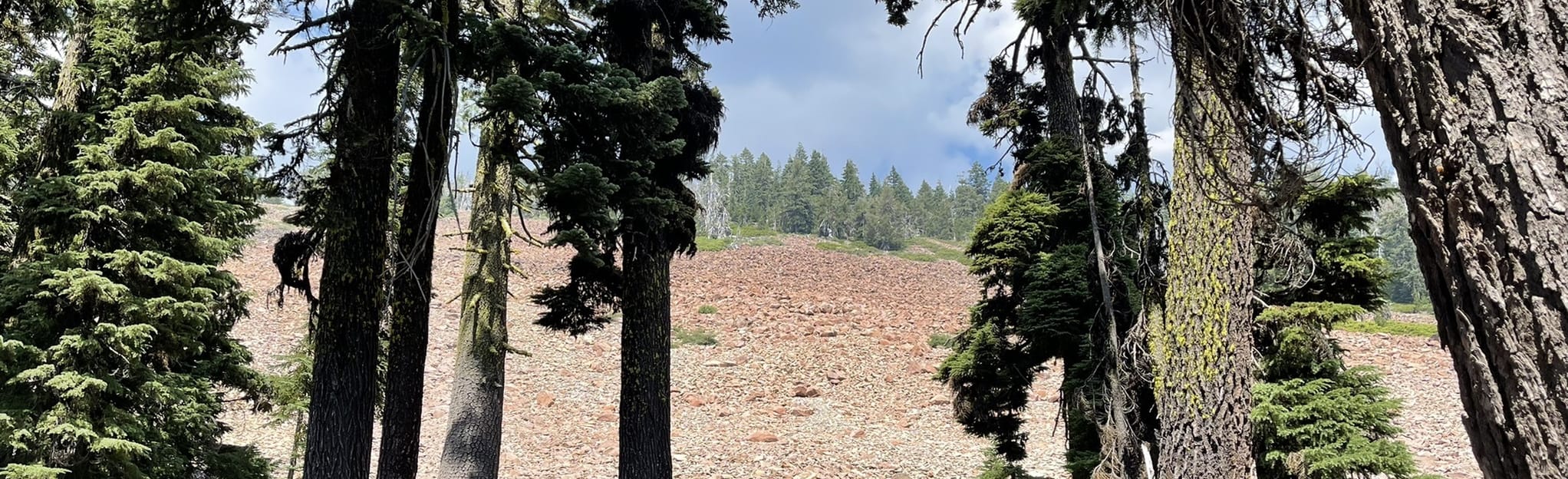 Clover Creek and Mountain Lakes Loop: 63 foto - Oregon | AllTrails