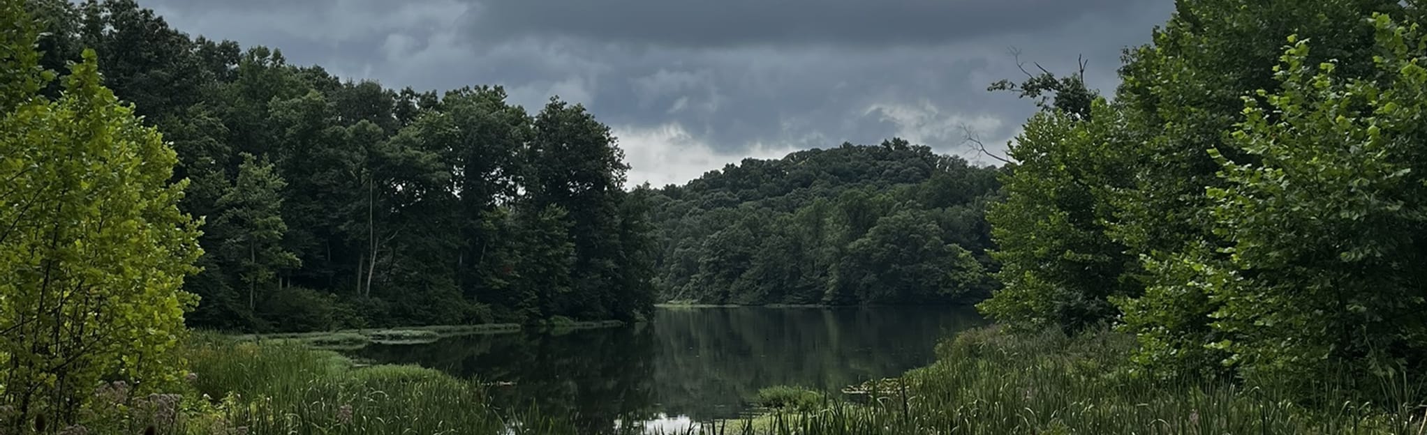 Yellowwood Lake Road Scenic Drive, Indiana - 12 Reviews, Map | AllTrails