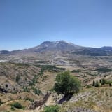 Johnston Ridge Observatory Walk [CLOSED], Washington - 219 Reviews, Map ...