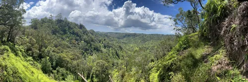 Best Hikes and Trails in Ewa Forest Reserve | AllTrails