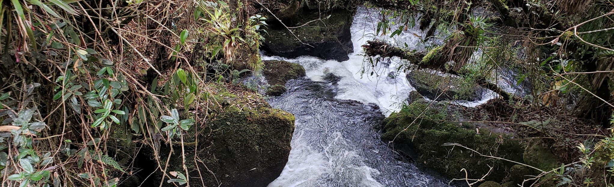 Papallacta Hot Springs Short Trail: 27 Reviews, 33 Photos, Map - Napo ...