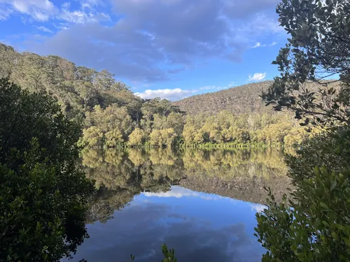 10 Best Hikes and Trails in Berowra Valley National Park | AllTrails