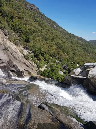 Best Hikes and Trails in Mount Lewis National Park | AllTrails
