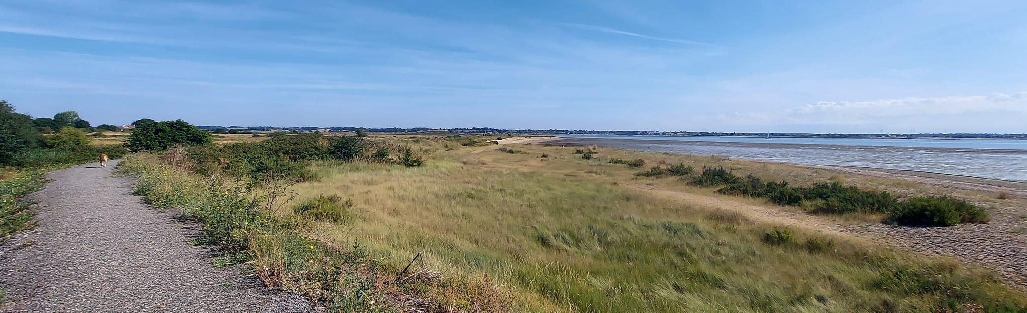 Mersea Circular, Essex, England - 40 Reviews, Map | AllTrails