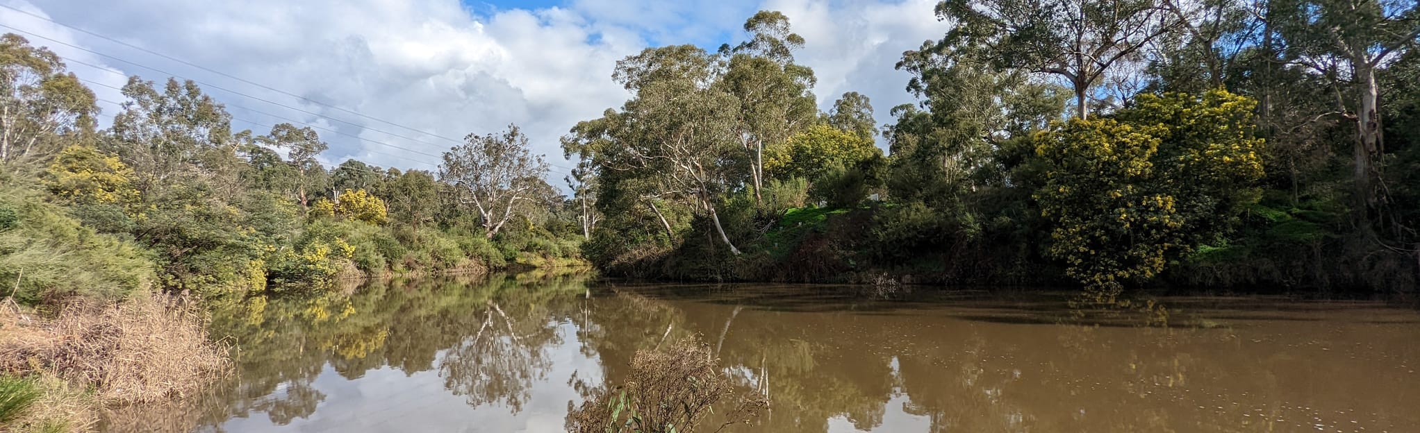 Yarra River Paddle: Westerfolds Park, Victoria, Australia - 11 Reviews ...
